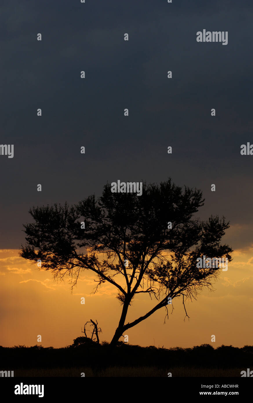 Sunset sun setting African sunset end of day close of the day natural ...