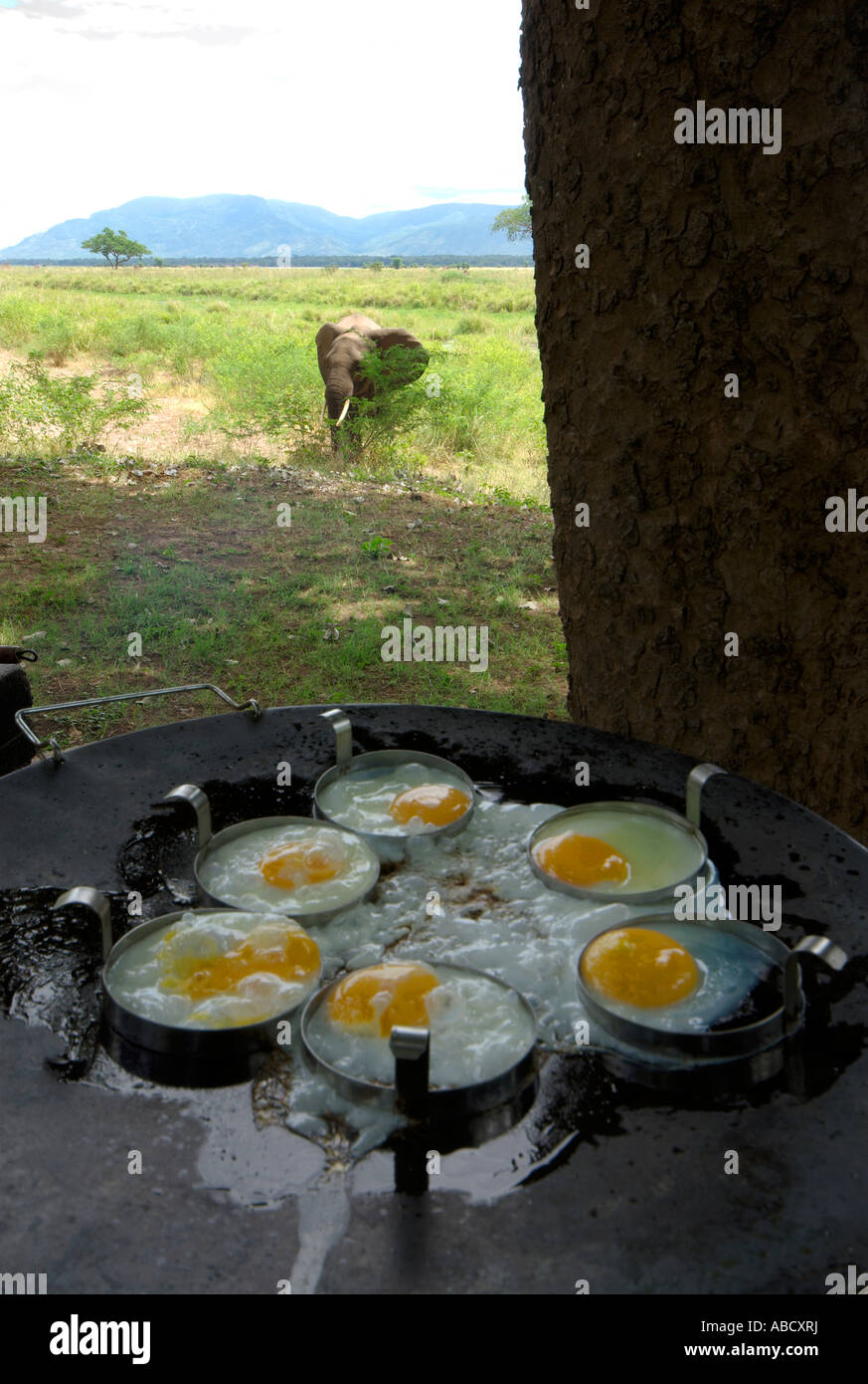 Cooking breakfast outside the lodges in Zimbabwe's Mana Pools National ...