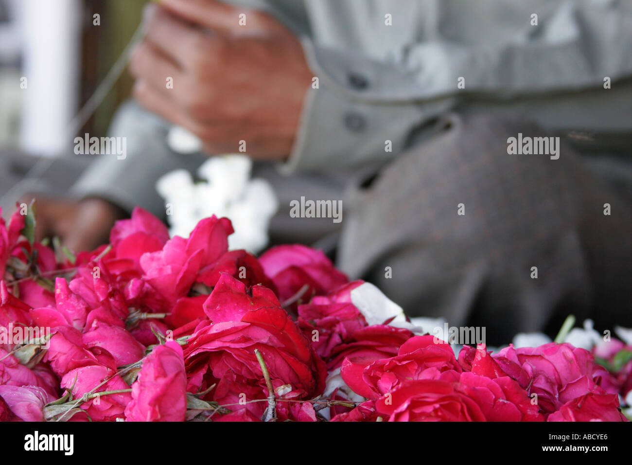 Threading flowers hi-res stock photography and images - Alamy
