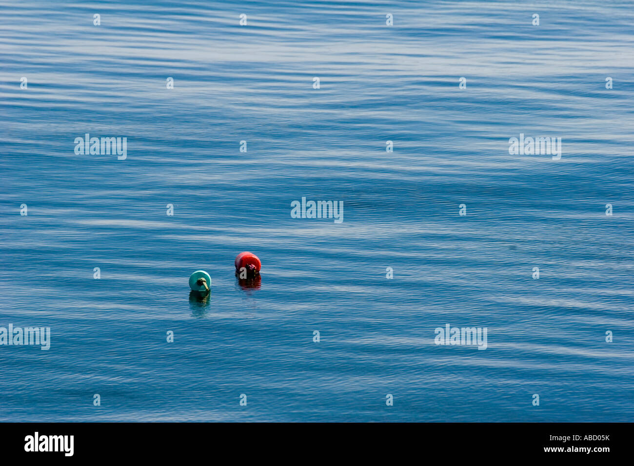 Buoys float in the bay off the coast of Maine Stock Photo - Alamy