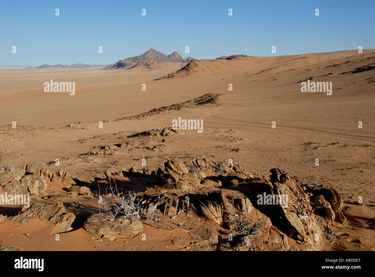 Hartmanns valley hi-res stock photography and images - Alamy