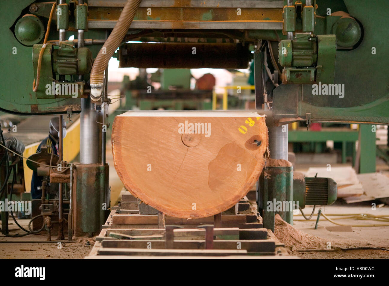 African tropical hardwood timber being sawn into planks for export in ...