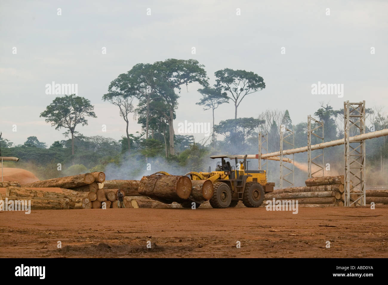 African tropical hardwood timber being sawn into planks for export in ...