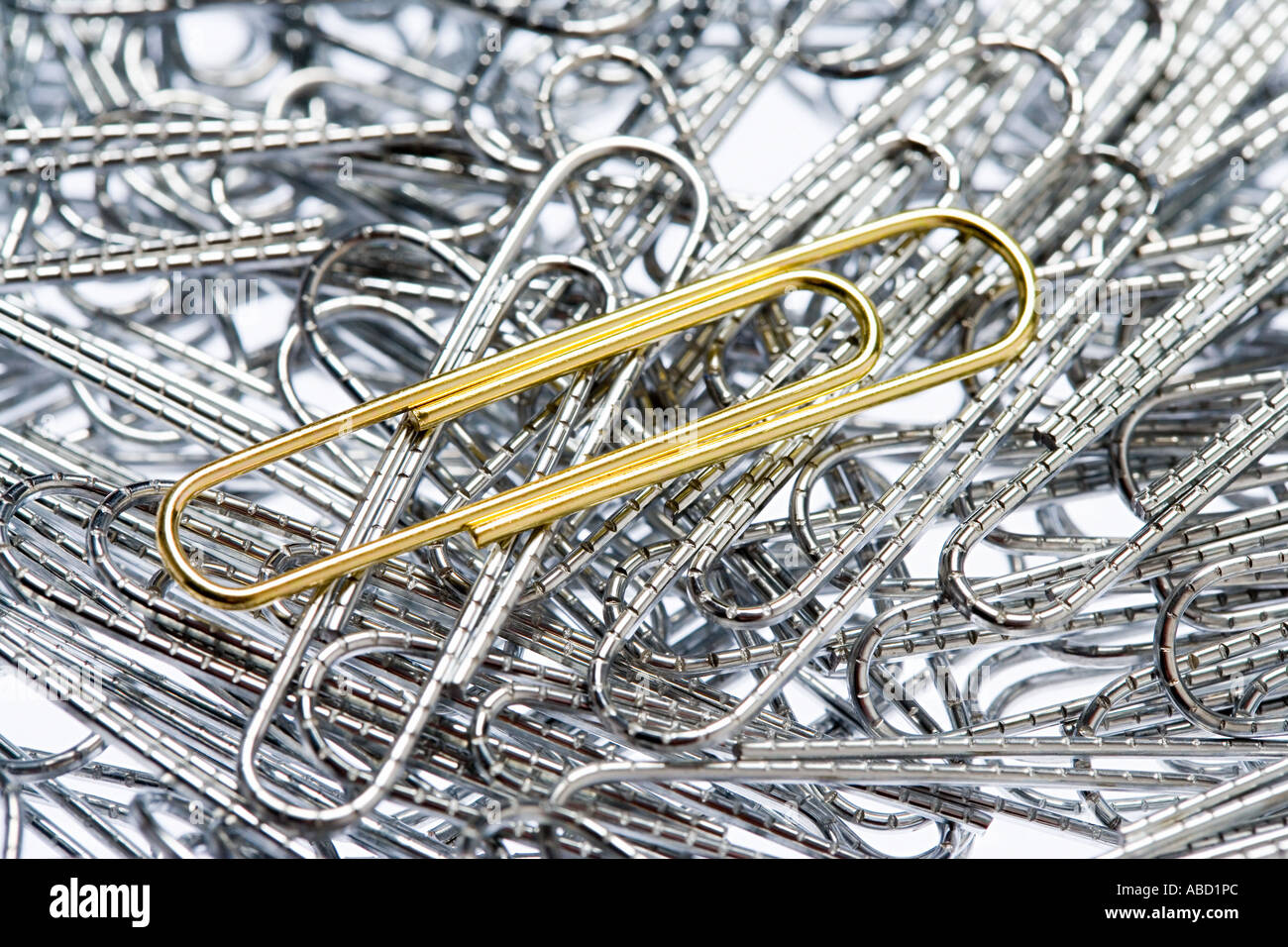 Golden paperclip amongst silver paperclips Stock Photo - Alamy
