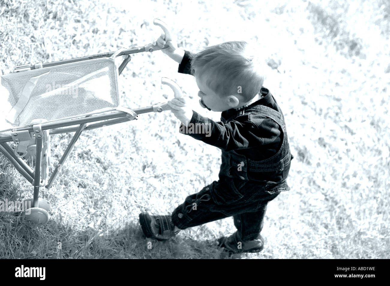 little boy pushing buggy Stock Photo - Alamy