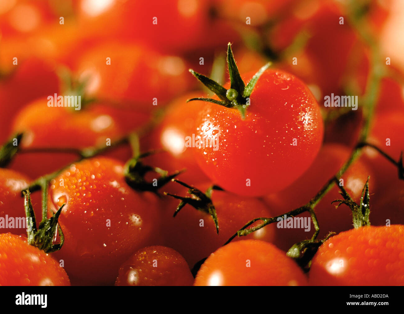 Tomato versatility hi-res stock photography and images - Alamy