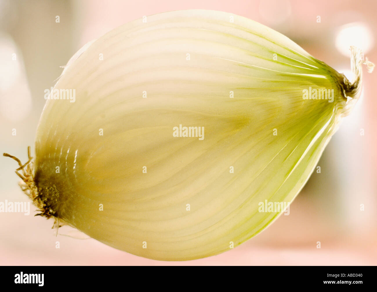 Skin Of Onion High Resolution Stock Photography and Images - Alamy