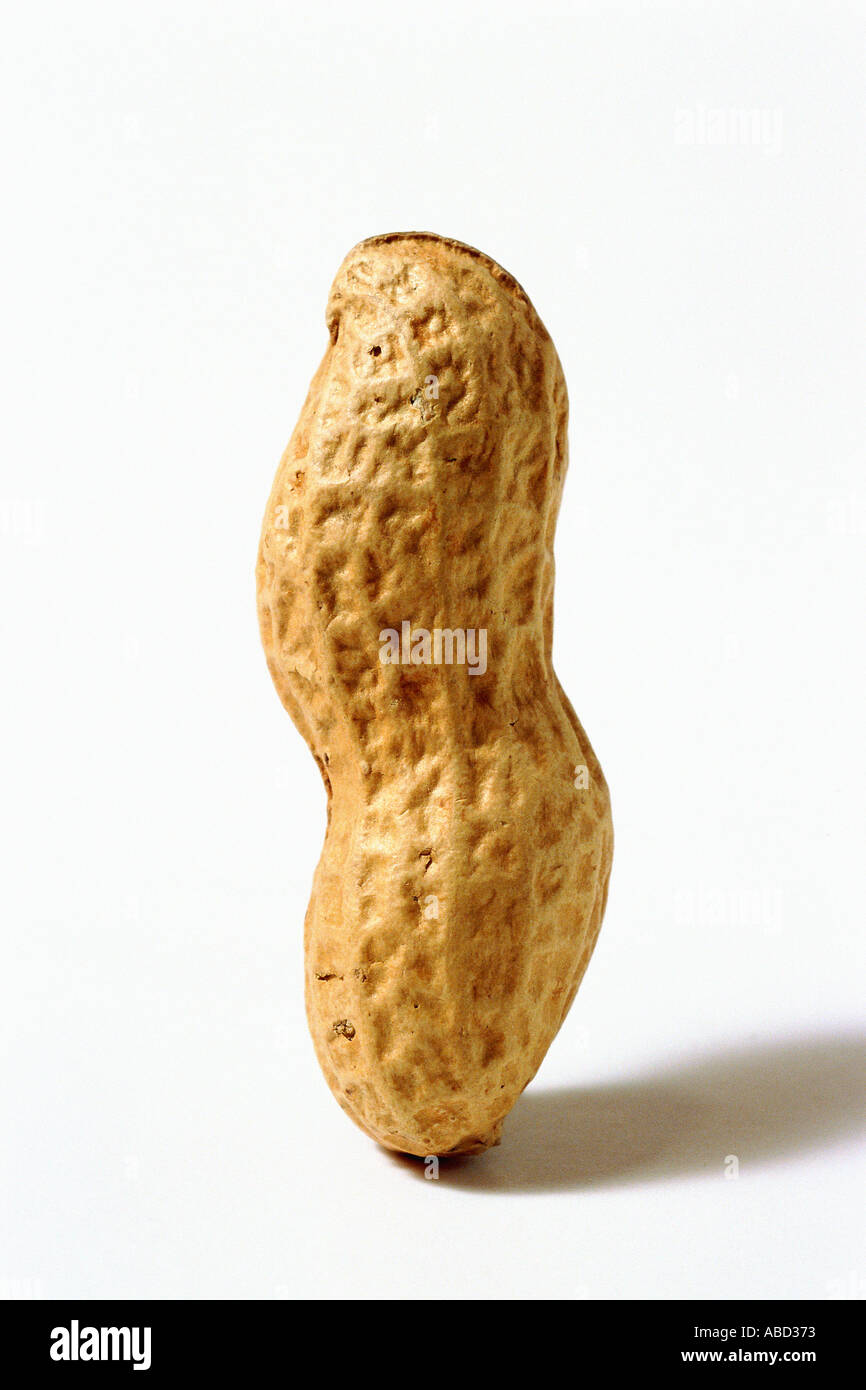 Upright Shape High Resolution Stock Photography and Images - Alamy