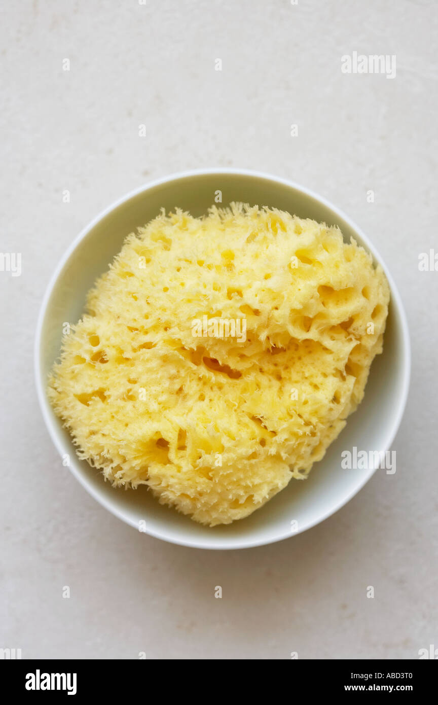 Sponge structures hi-res stock photography and images - Alamy