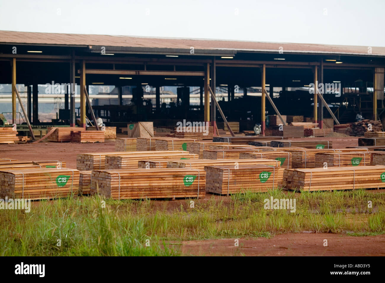 Processed African mahogany in sawmill, Republic of Congo Stock Photo ...