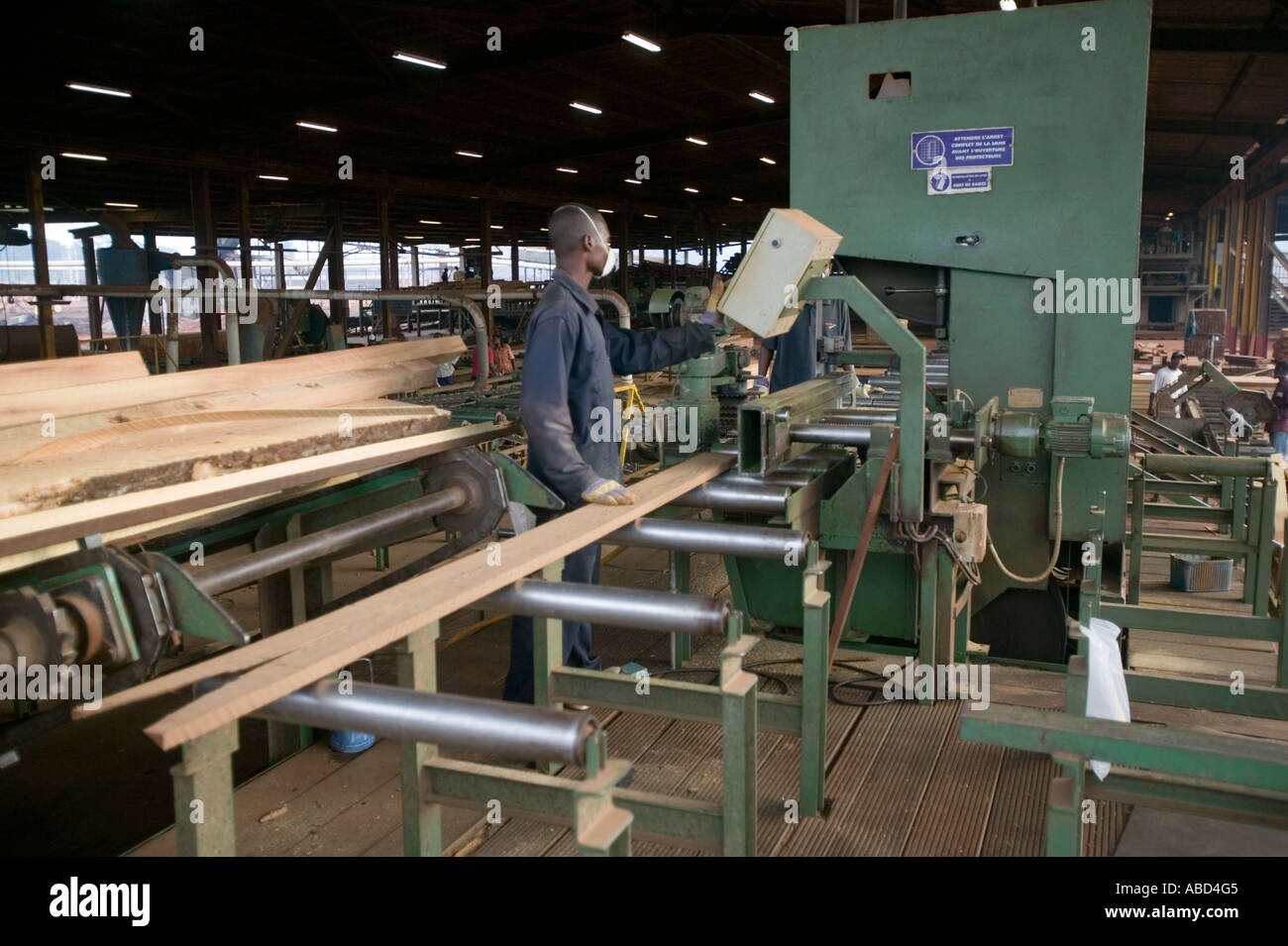 African tropical hardwood being processed into planks and other ...