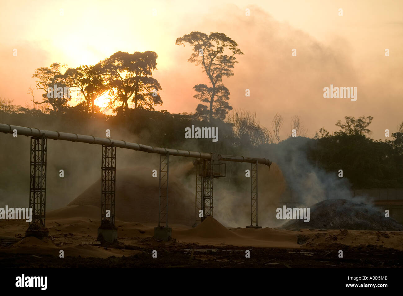 Burning waste saw dust on a saw mill in the Republic of Congo Stock ...