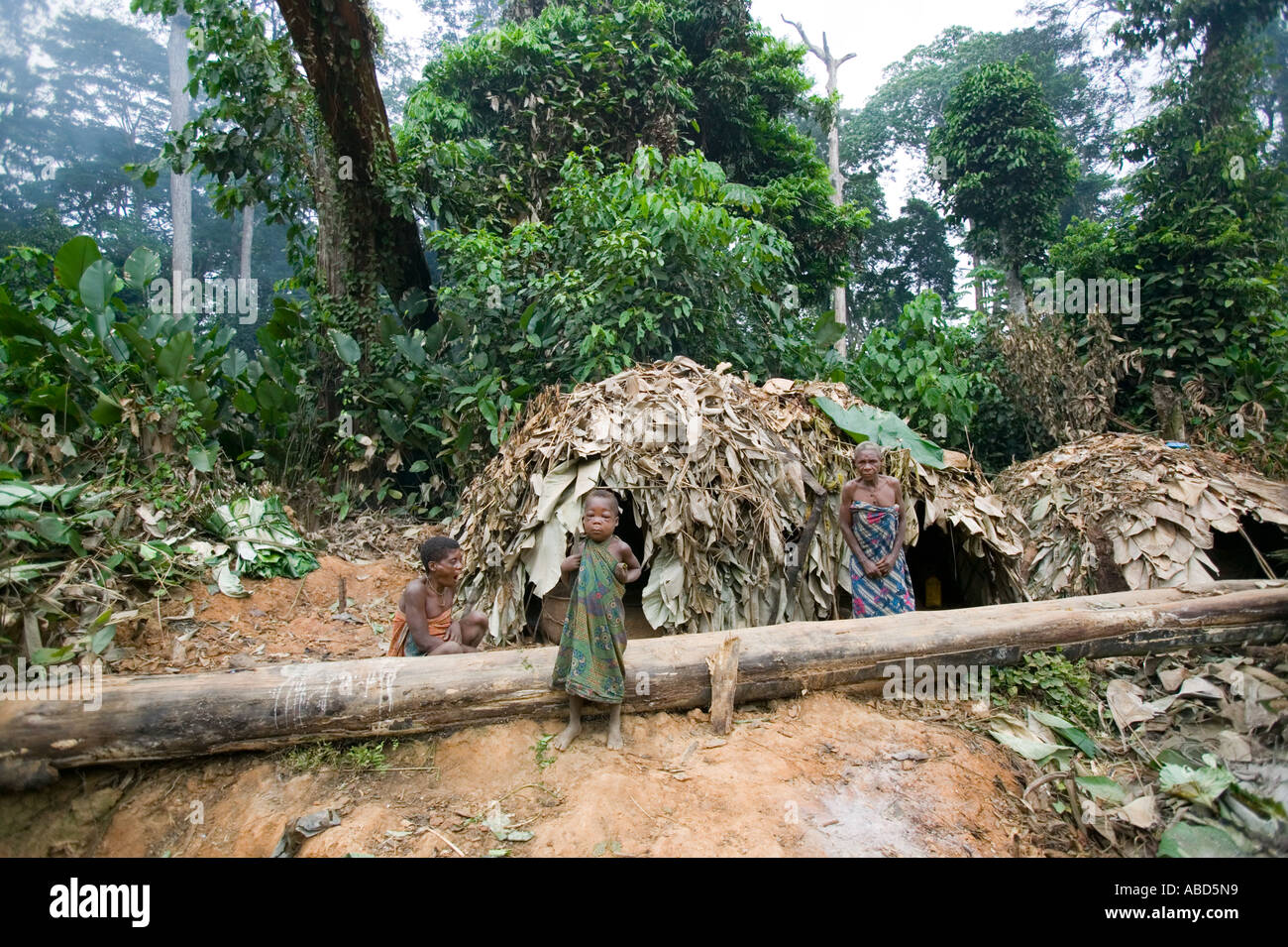 A Baka pygmy child by a temporary leaf houses in the rainforest of ...