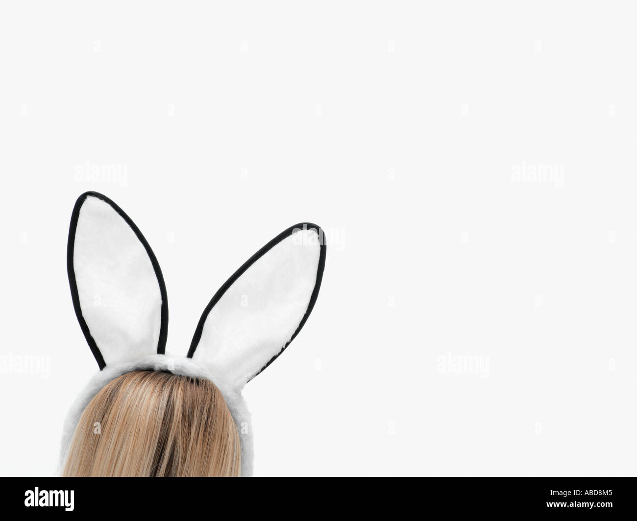 Bunny rear view Cut Out Stock Images & Pictures - Alamy