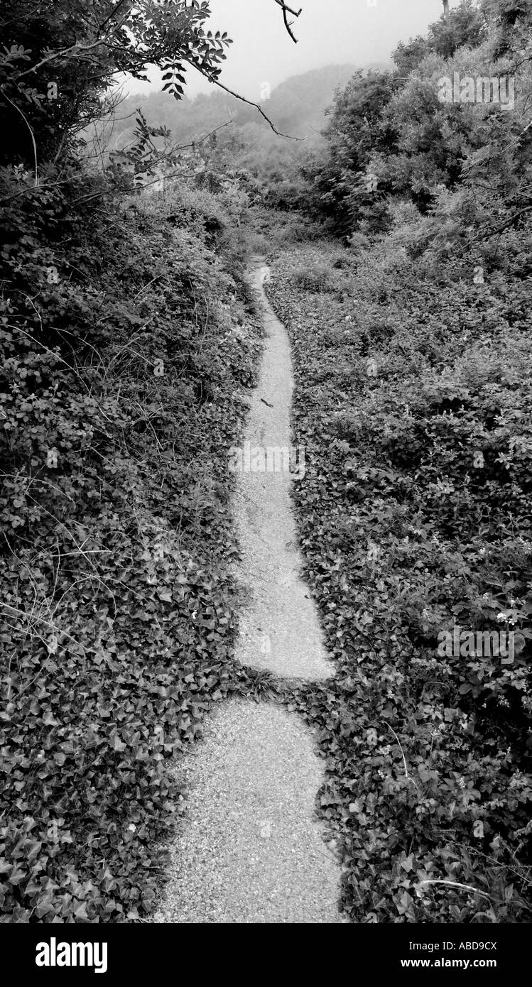 Blackgang Chine, Path into Mist, Black and White Landscape, Ventnor ...