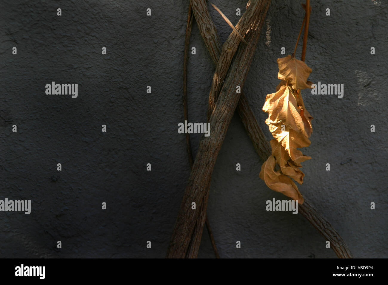 Human limp hi-res stock photography and images - Alamy