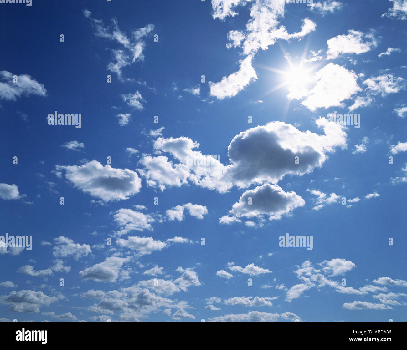 Sunlight through hi-res stock photography and images - Alamy