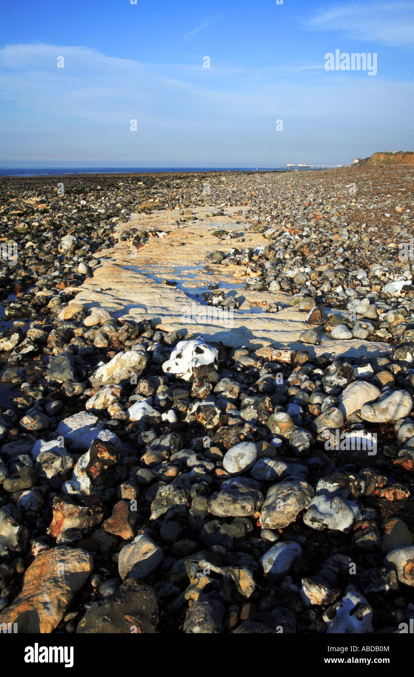 Chalk fossil hi-res stock photography and images - Alamy