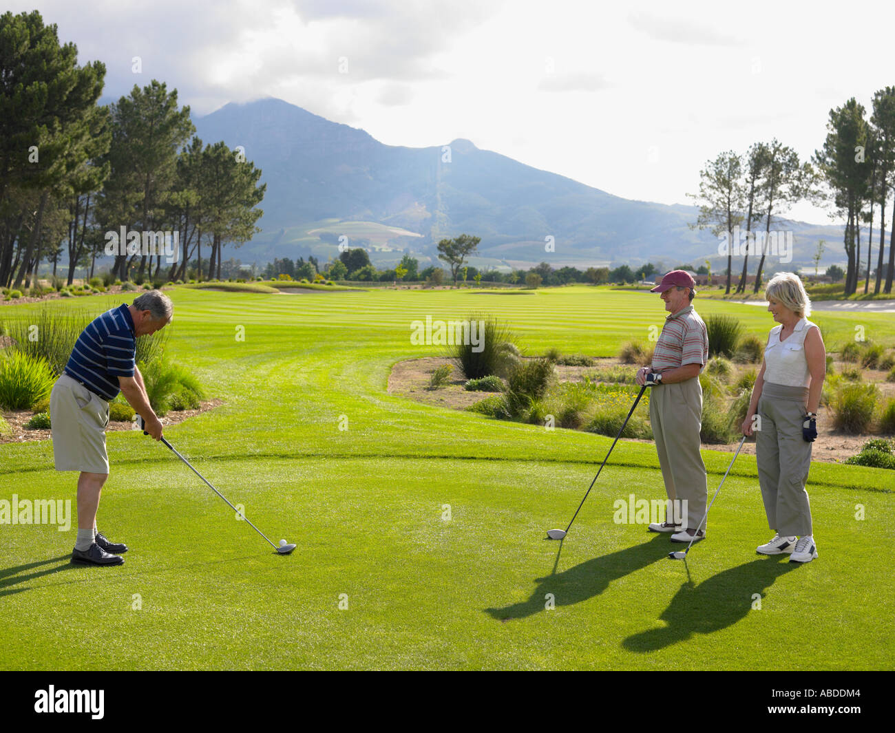Friends playing golf Stock Photo - Alamy