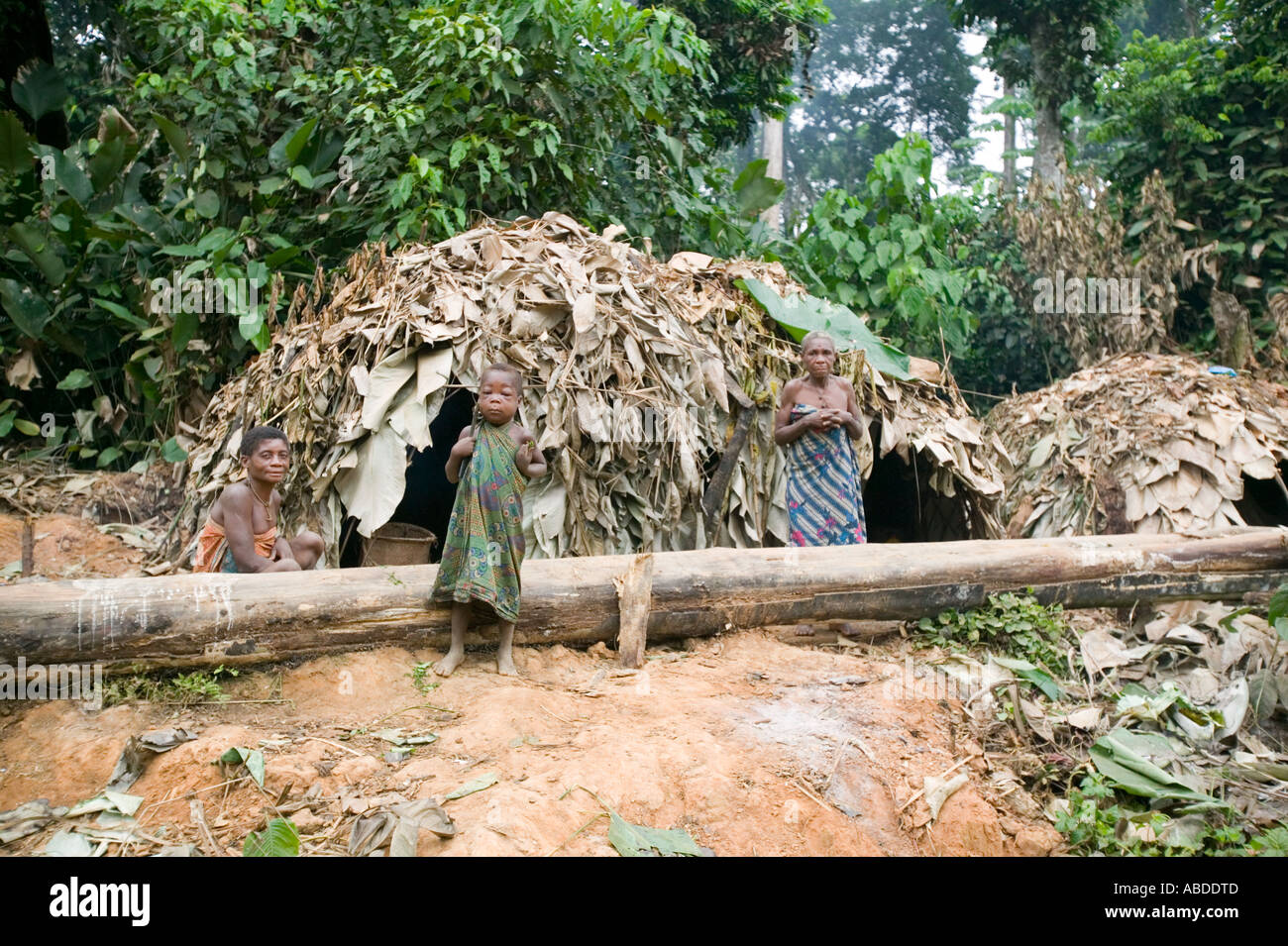 A Baka pygmy family by their temporary leaf houses in the rainforest of ...