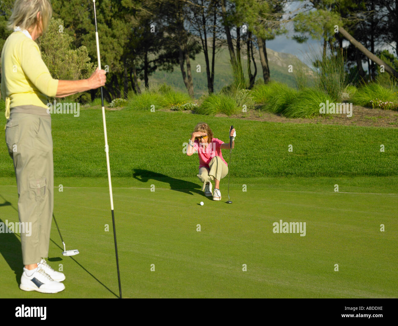 Female golfer crouching over ball hi-res stock photography and images ...