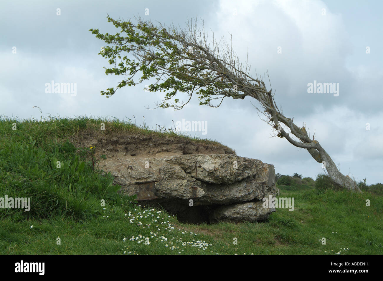 Wartime Bunker High Resolution Stock Photography and Images - Alamy