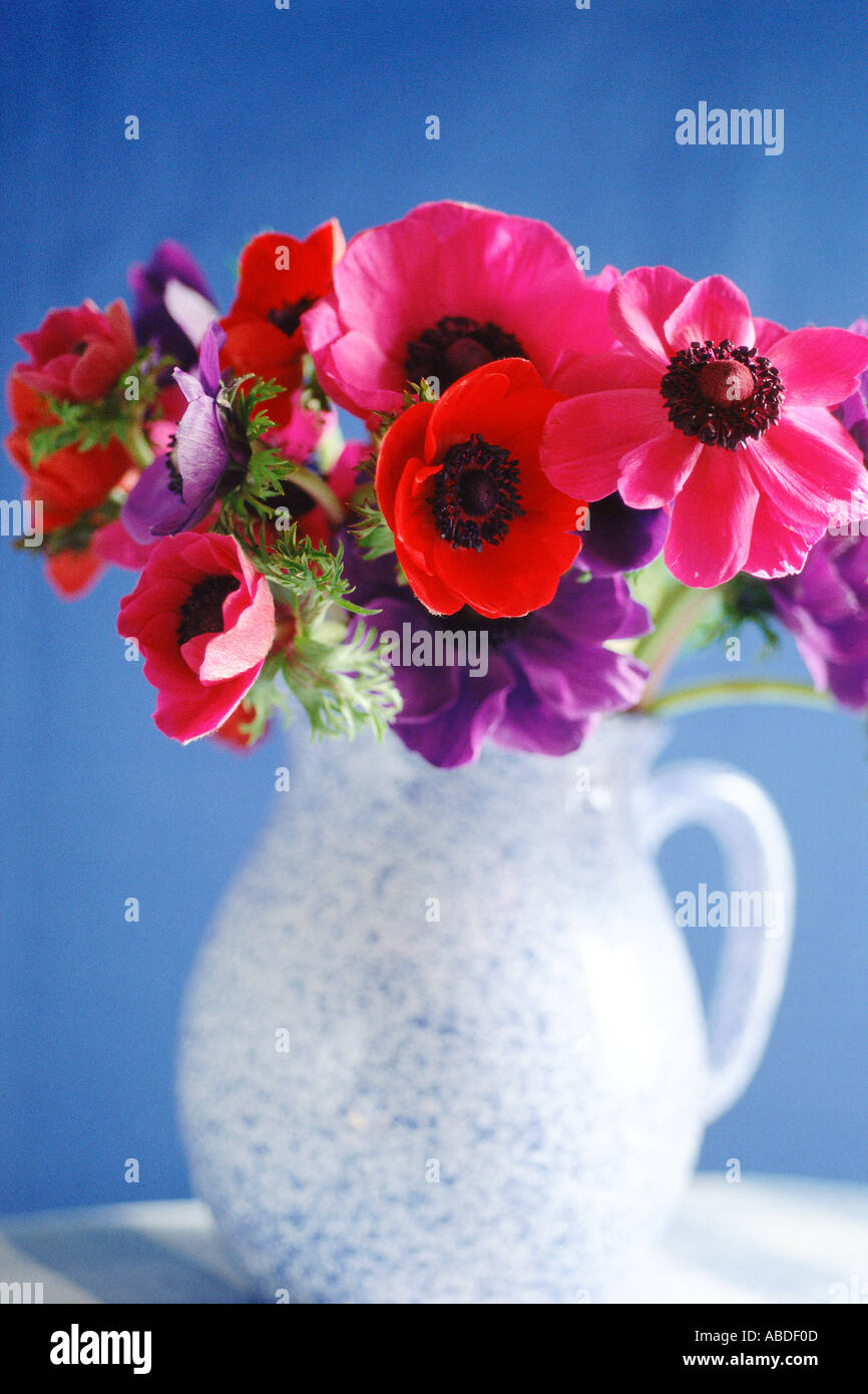 Flowers in a vase Stock Photo - Alamy
