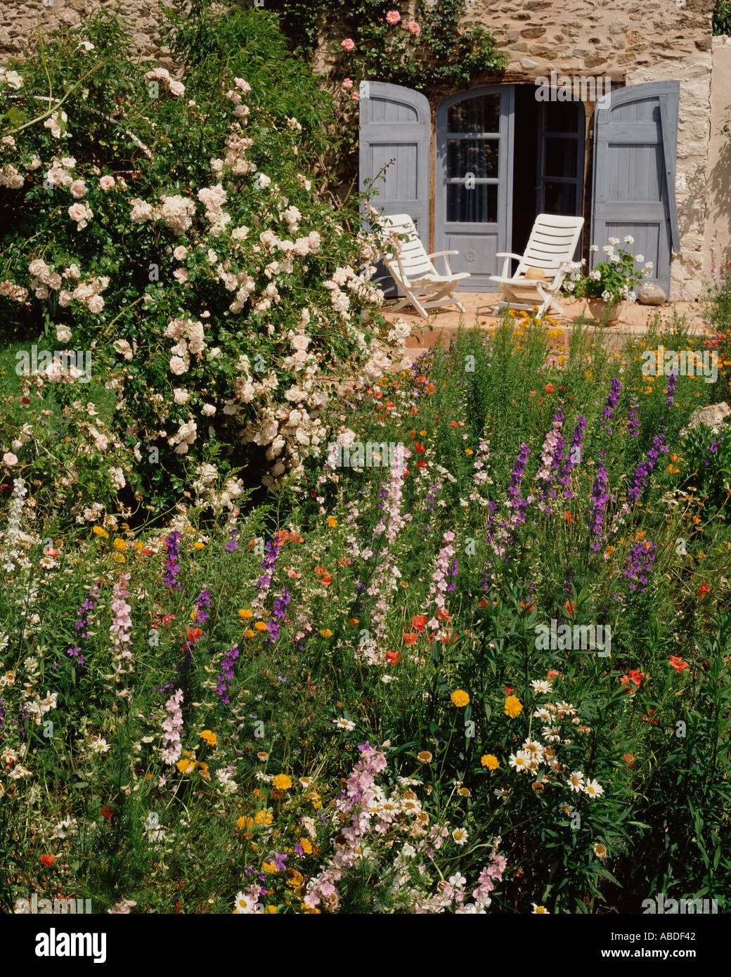 Back garden hi-res stock photography and images - Alamy