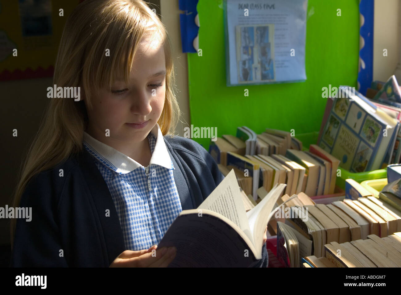 Pupil reading book Stock Photo - Alamy
