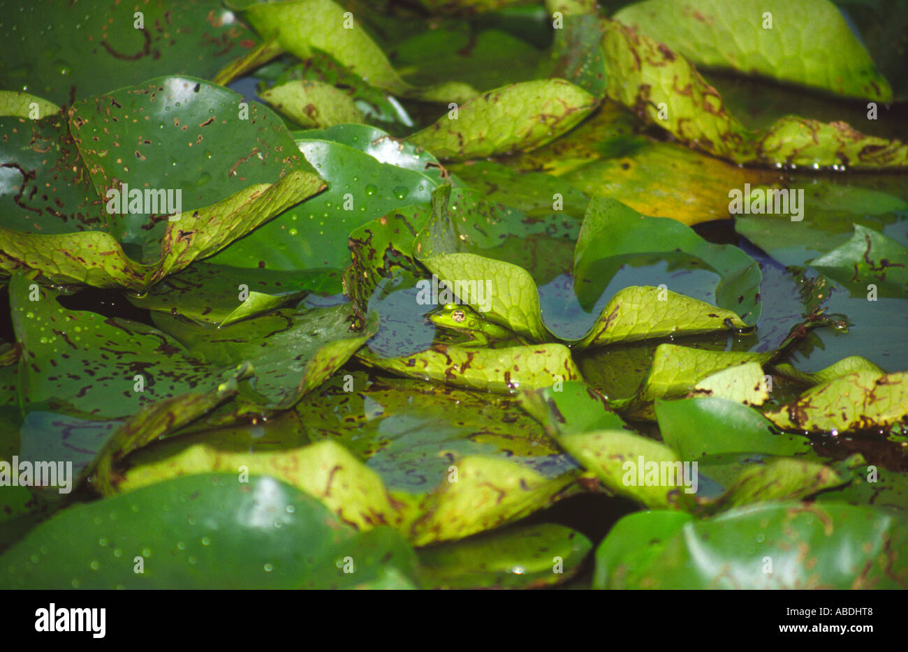 Hidden parts hi-res stock photography and images - Alamy