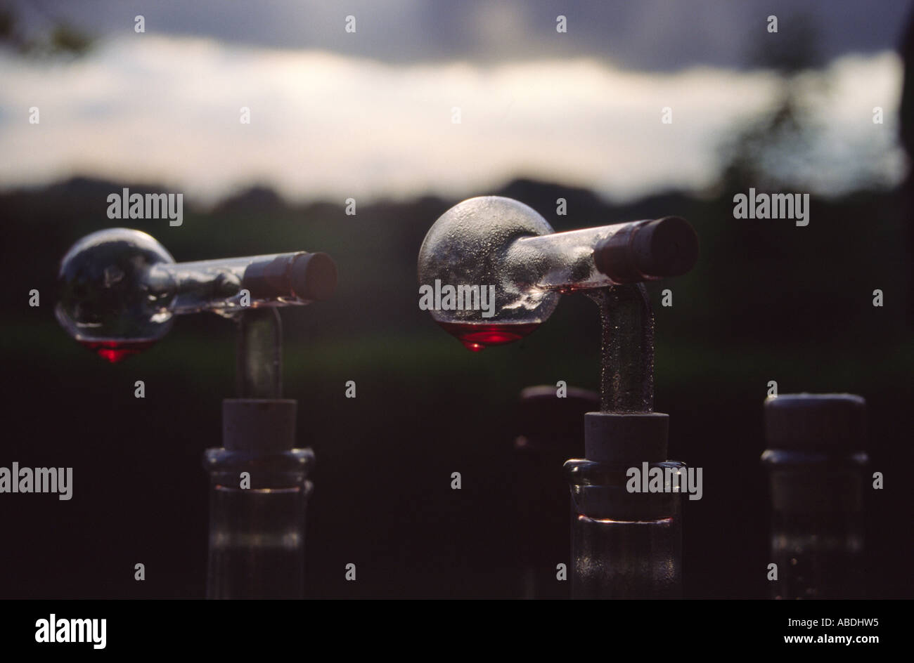 Schnapps flasks hi-res stock photography and images - Alamy