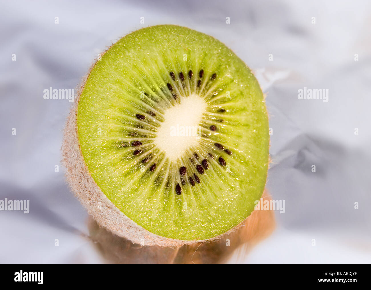 Cutted out hi-res stock photography and images - Alamy