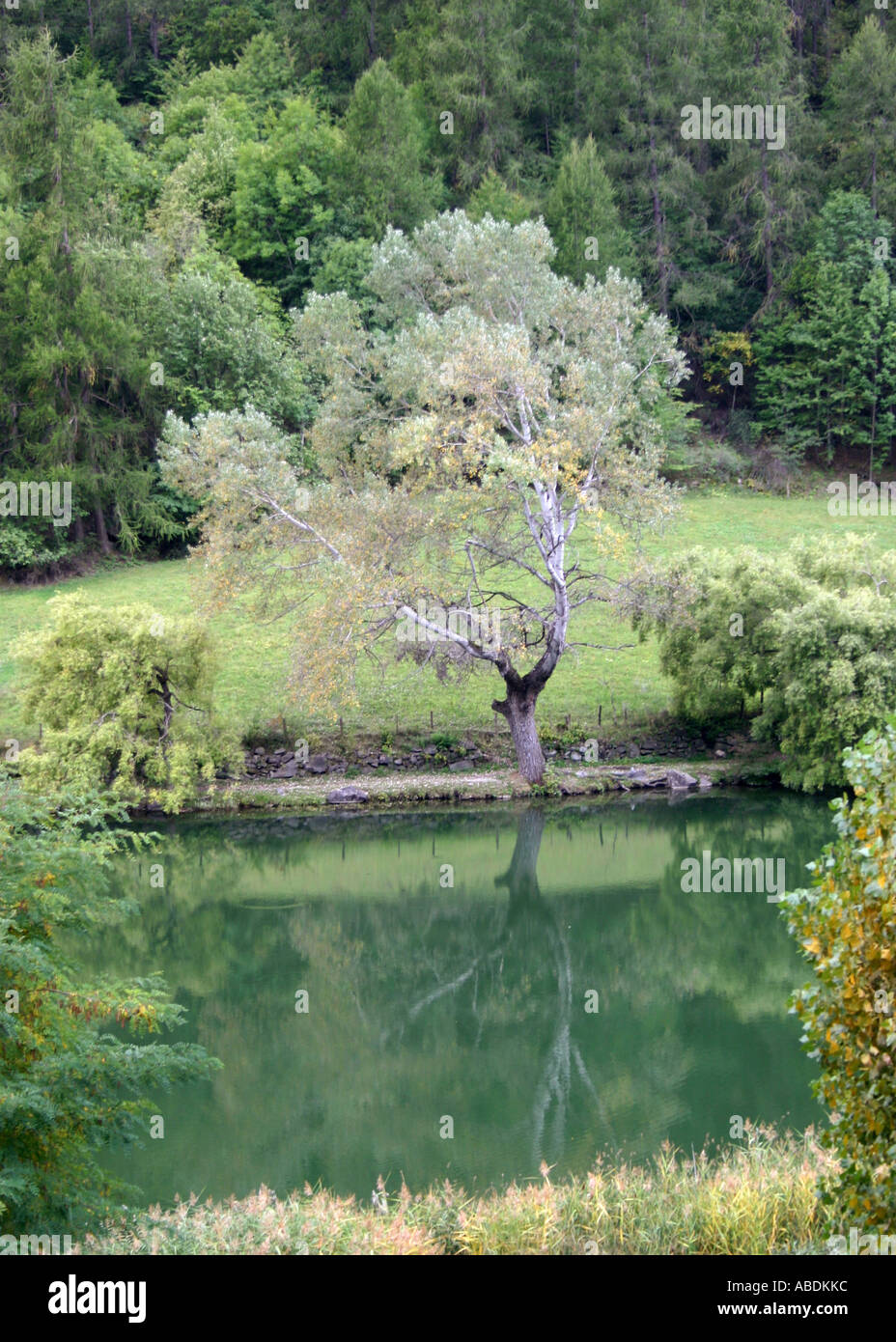 Small lake in a french alps village Stock Photo - Alamy