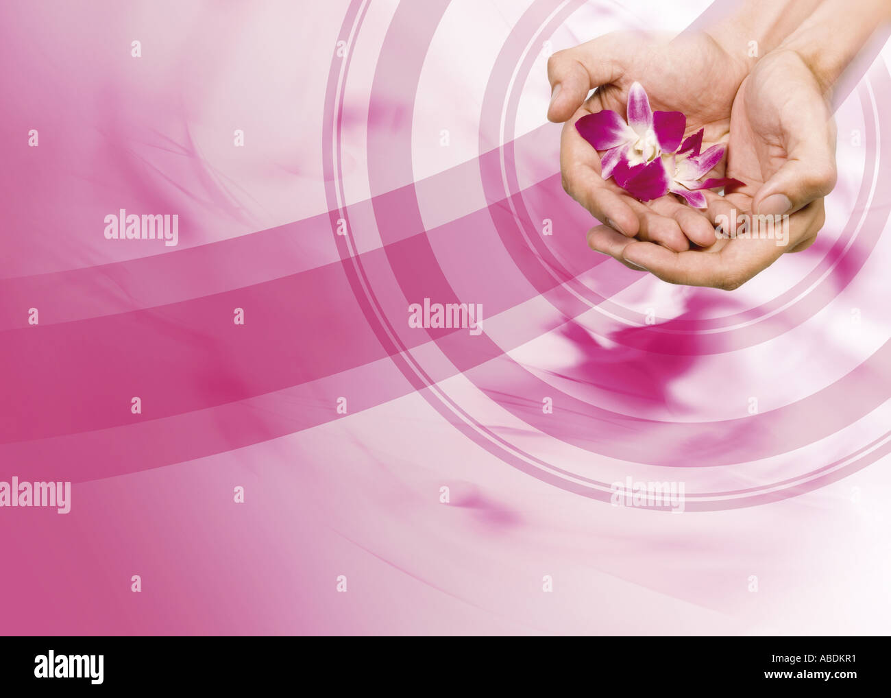 Man hands offering purple flowers in an abstract environment Stock ...