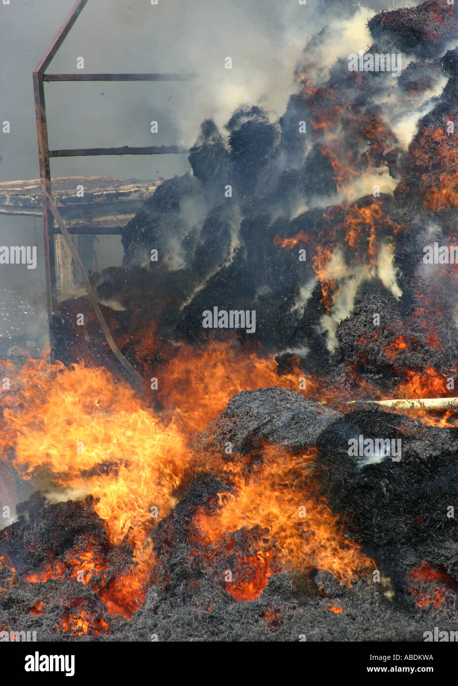 fire, flame, conflagration Stock Photo - Alamy