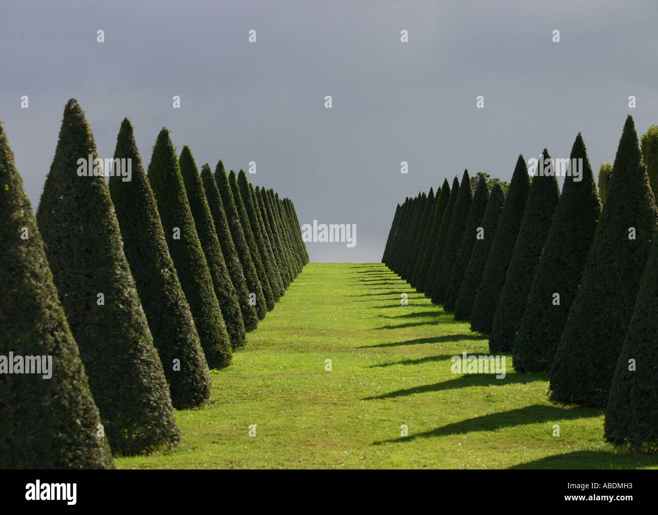 Sculpted hedges hi-res stock photography and images - Alamy