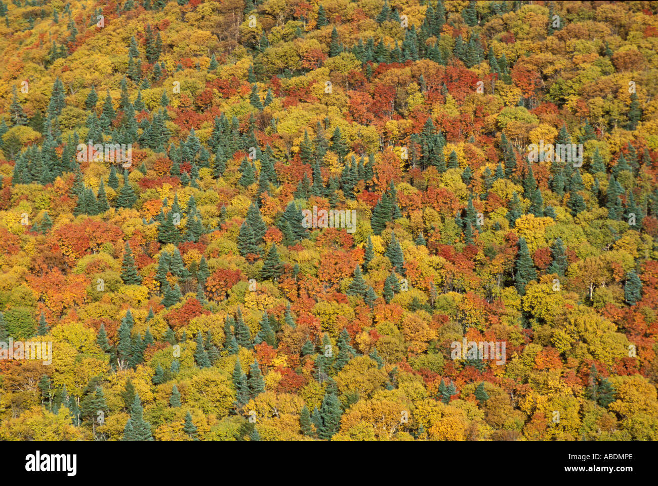 Mt lafayette hi-res stock photography and images - Alamy
