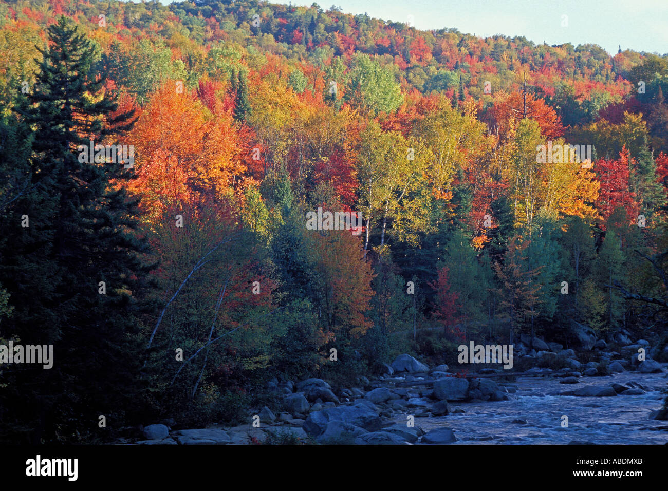 Ammonoosuc River near Twin Mountain Cohos Trail Fall White Mountain N F ...