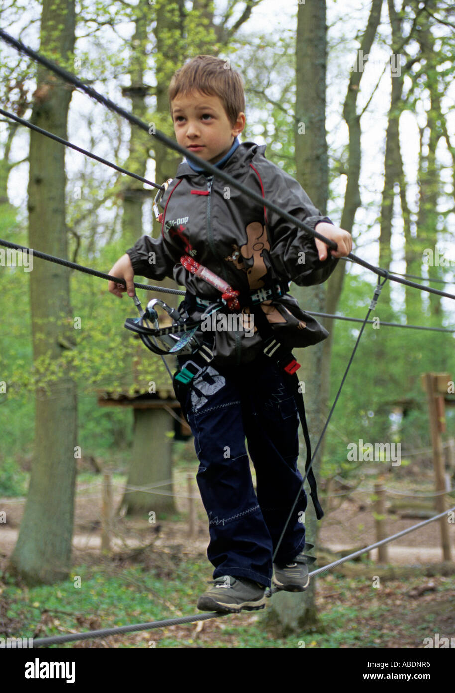 Treetop swinging bridge hi-res stock photography and images - Alamy