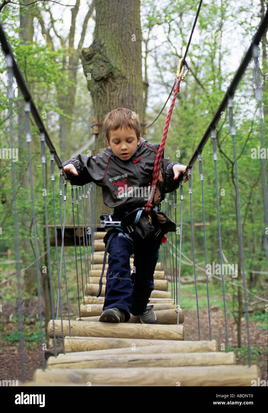 Boy swinging on a rope suspension bridge tired Stock Photo - Alamy