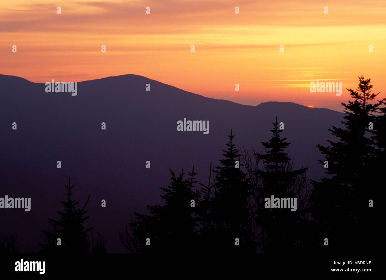 Sunset Appalachian Trail Spruce trees a White Mountain ridge and ...