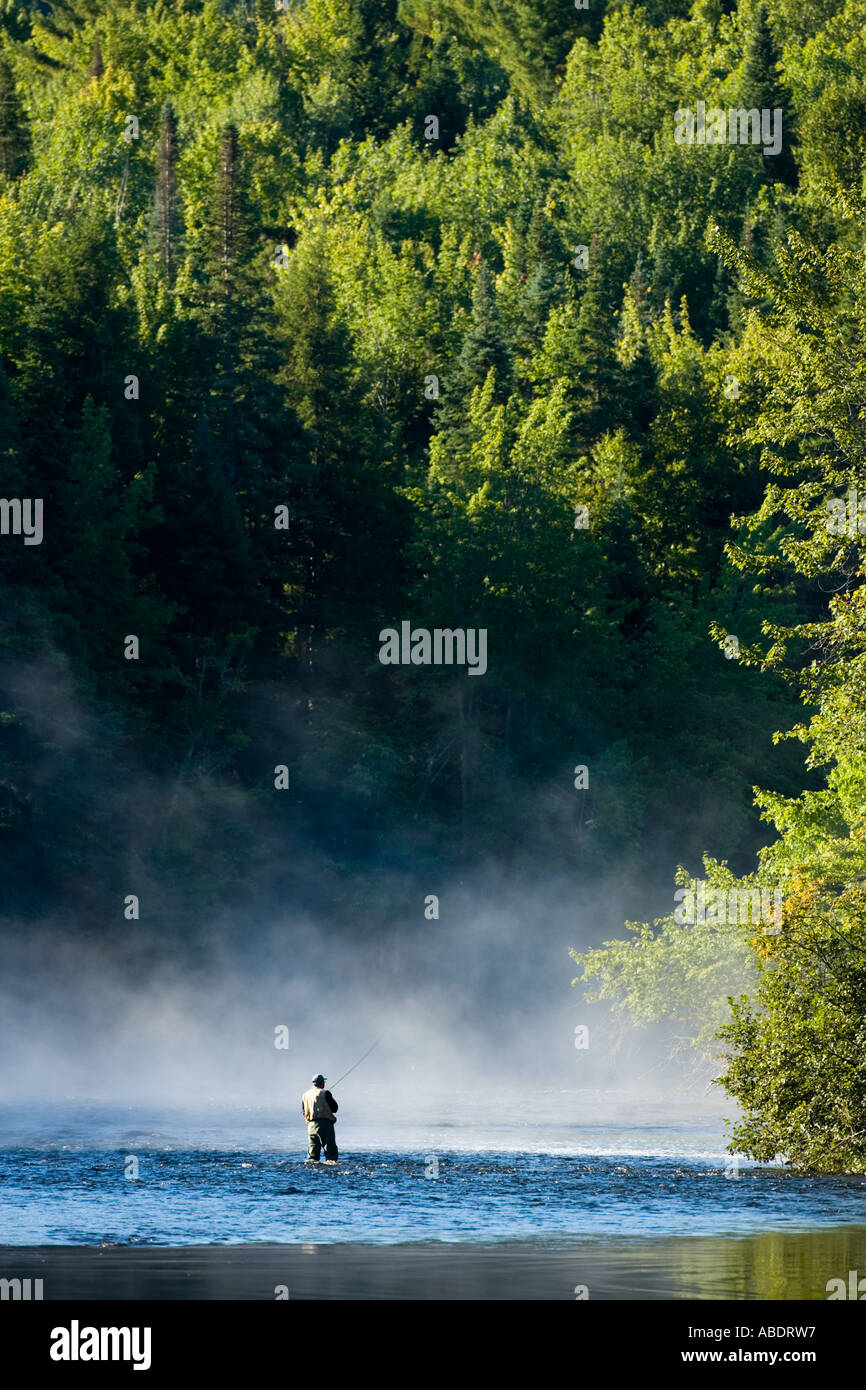 Fly fishing in the early morning mist on the Androscoggin River just ...