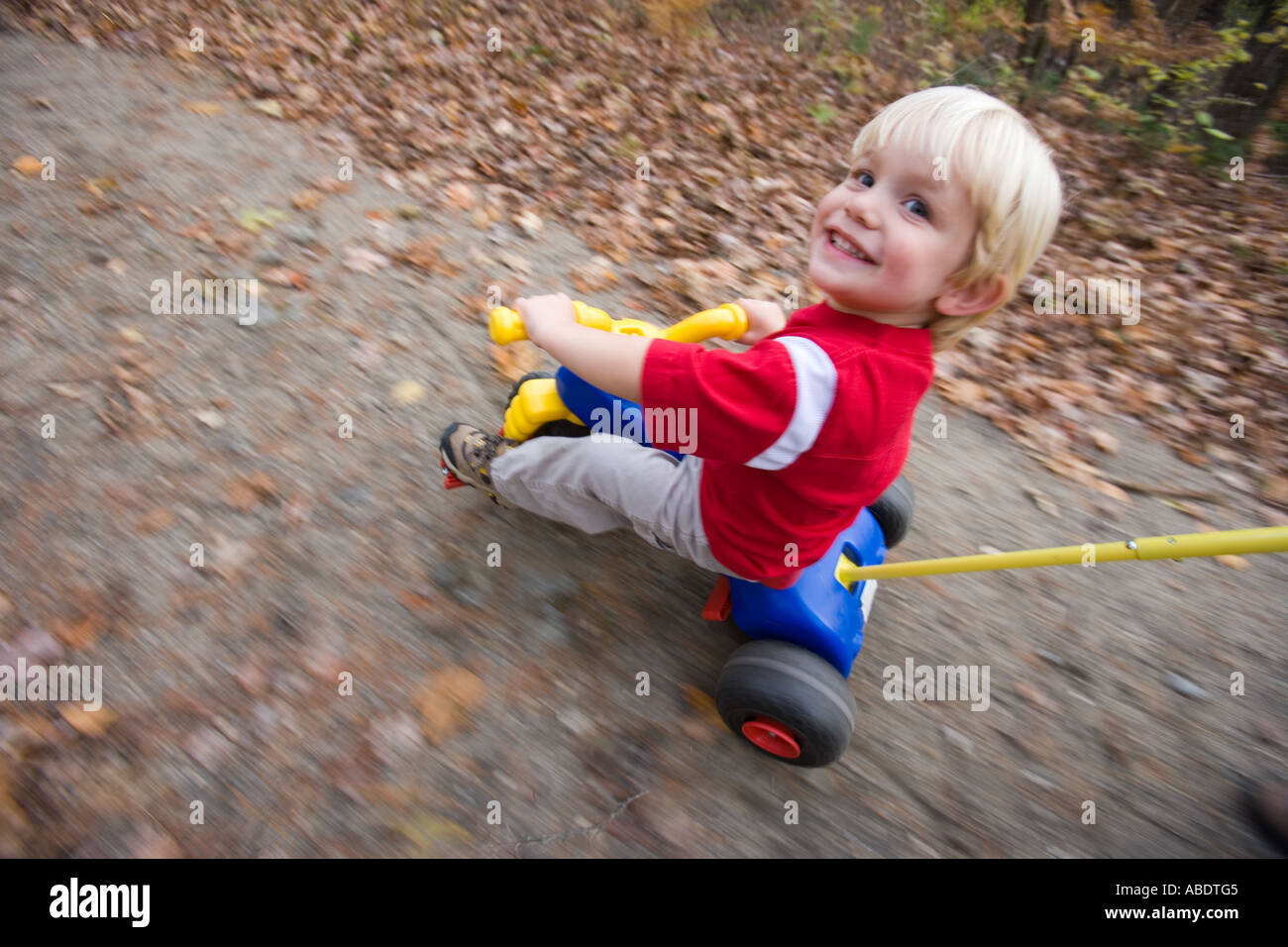A young boy age 2 on his bike Newfields rail trail in Newfields NH Fall ...