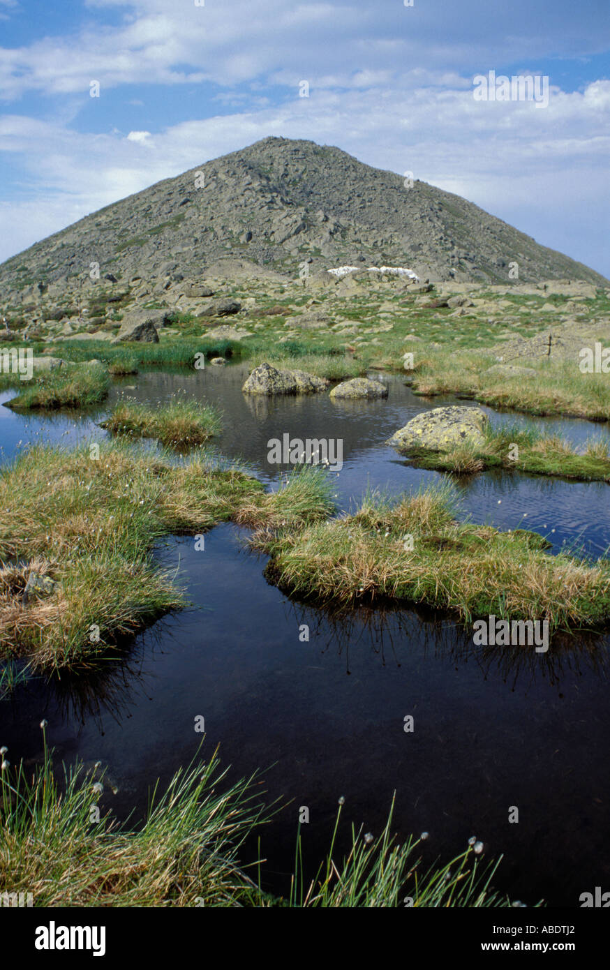 Alpine Lake Mt Madison White Mountains Star Lake Mt Madison NH Stock ...