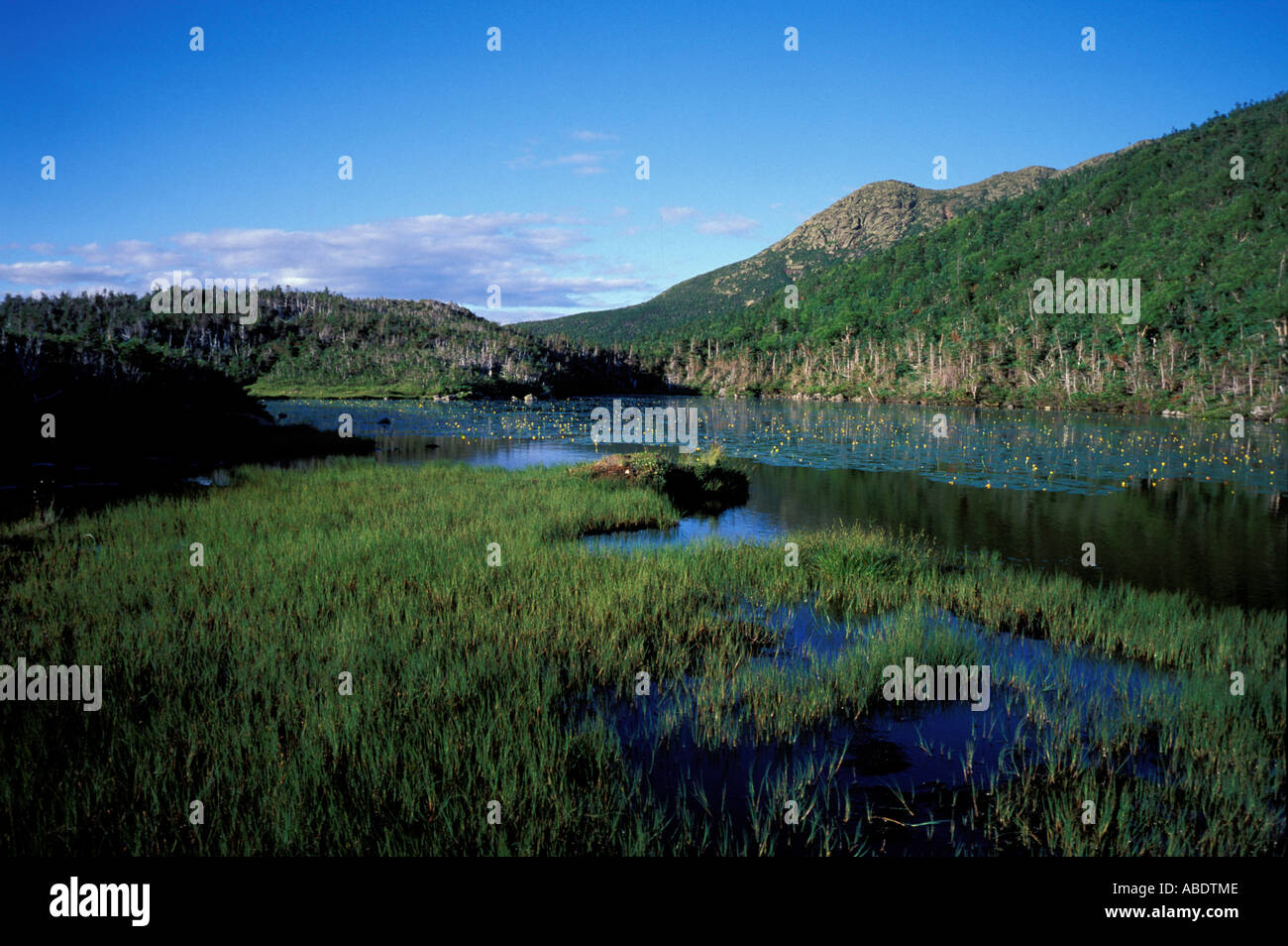 Eagle Lake below Mt Lafayette Near Greenleaf Hut Bog White Mountain N F ...