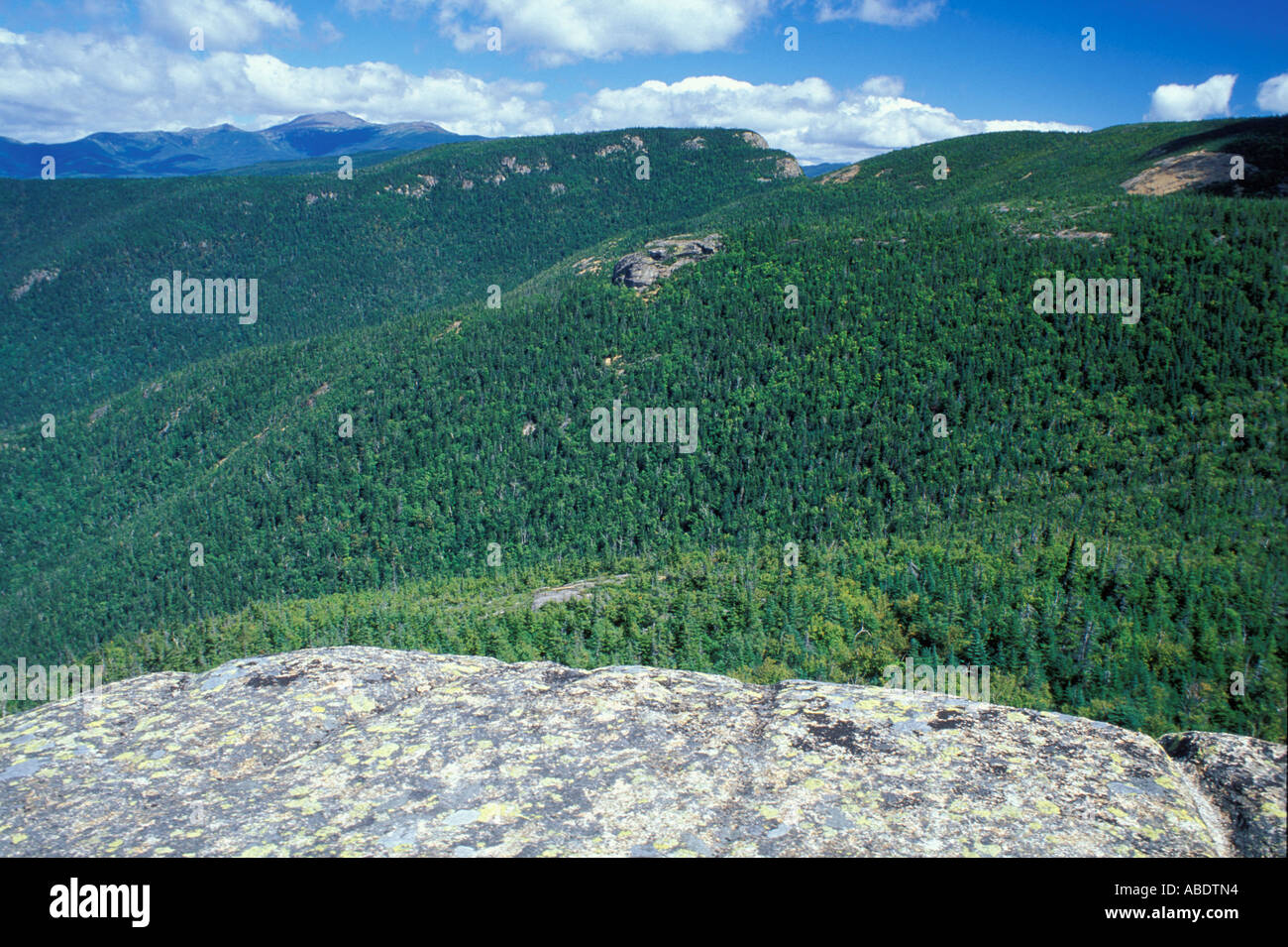 From Mt Crawford Presidential Range Dry River Wilderness Near Davis ...