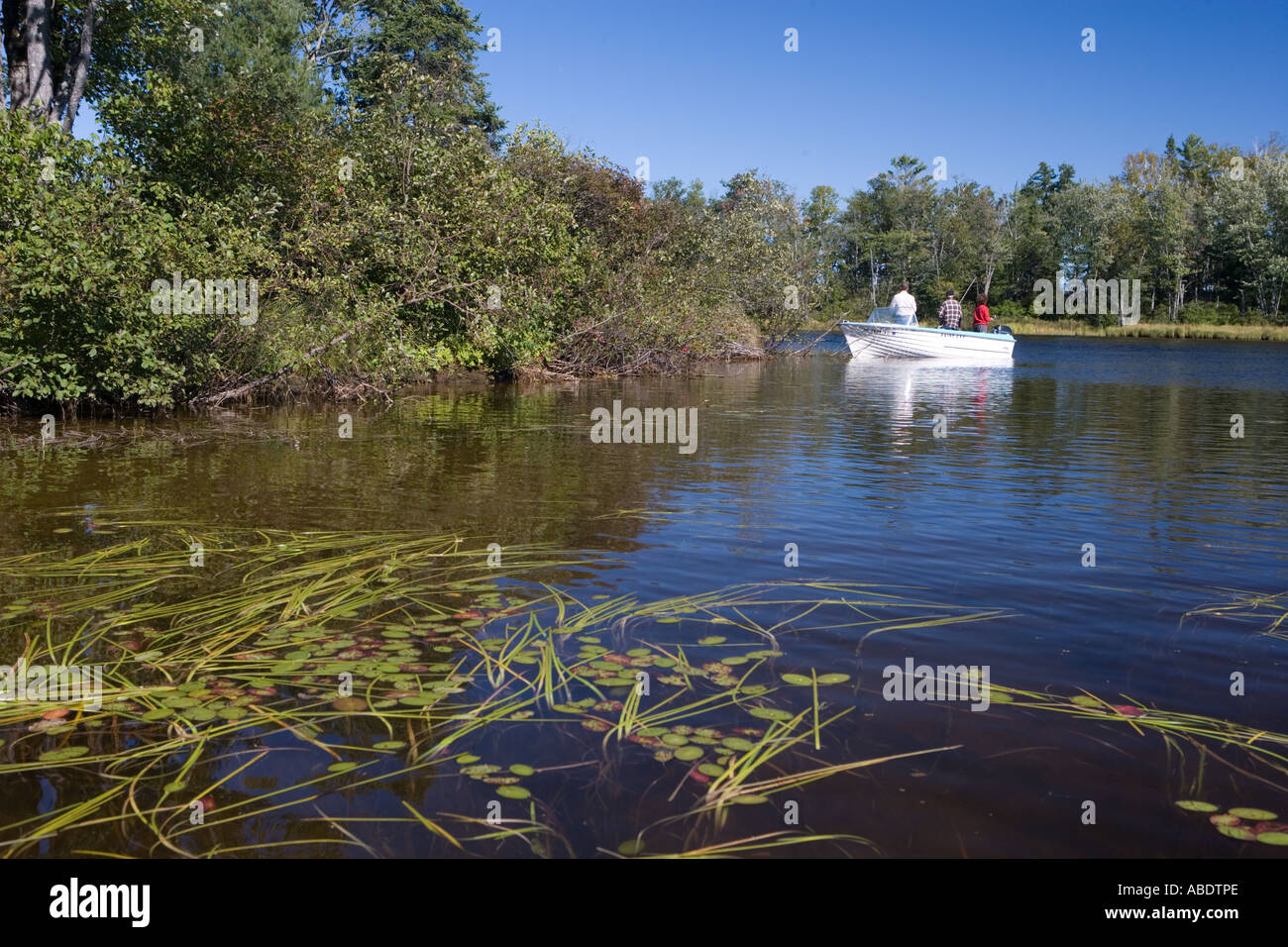 Fishing for bass on Umbagog Lake in Errol NH Stock Photo - Alamy