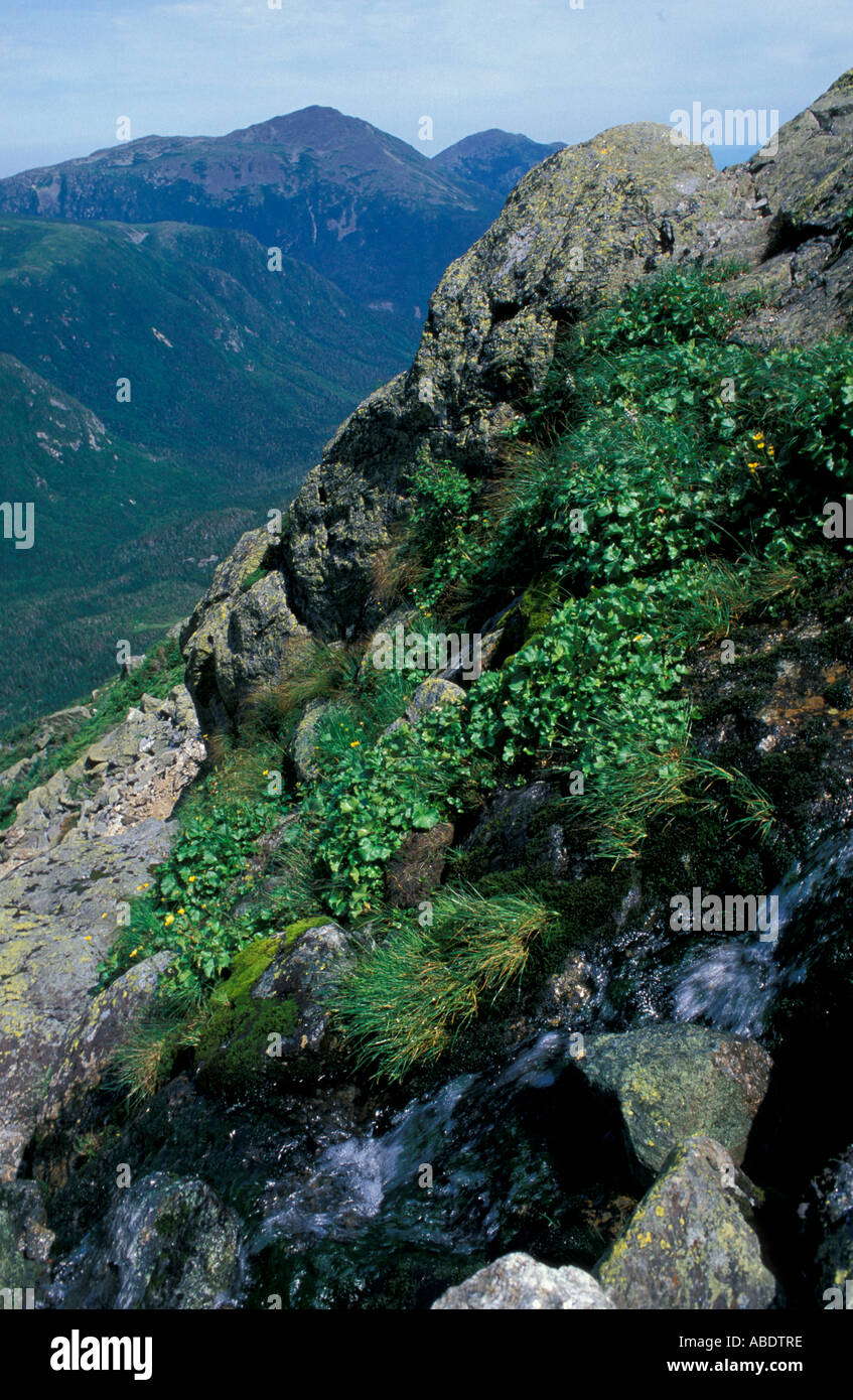 Water tumbles down the Great Gulf headwall Mt Adams and Mt Madison in ...