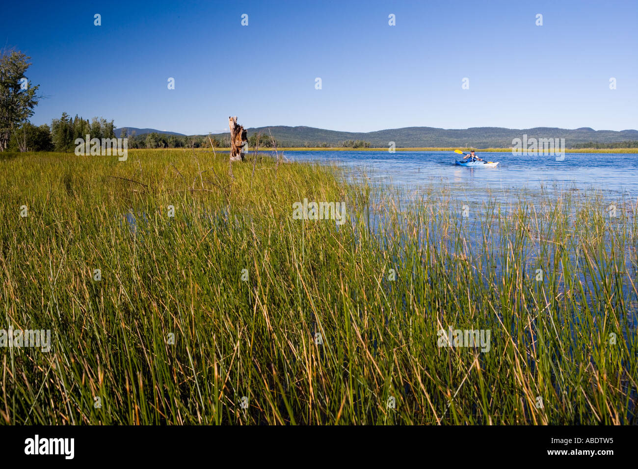 Magalloway River High Resolution Stock Photography and Images - Alamy