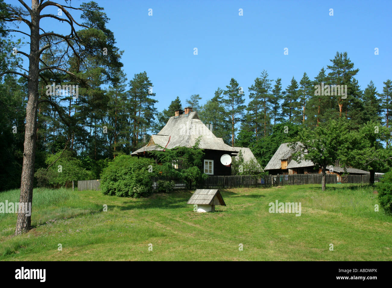Augustow forest hi-res stock photography and images - Alamy